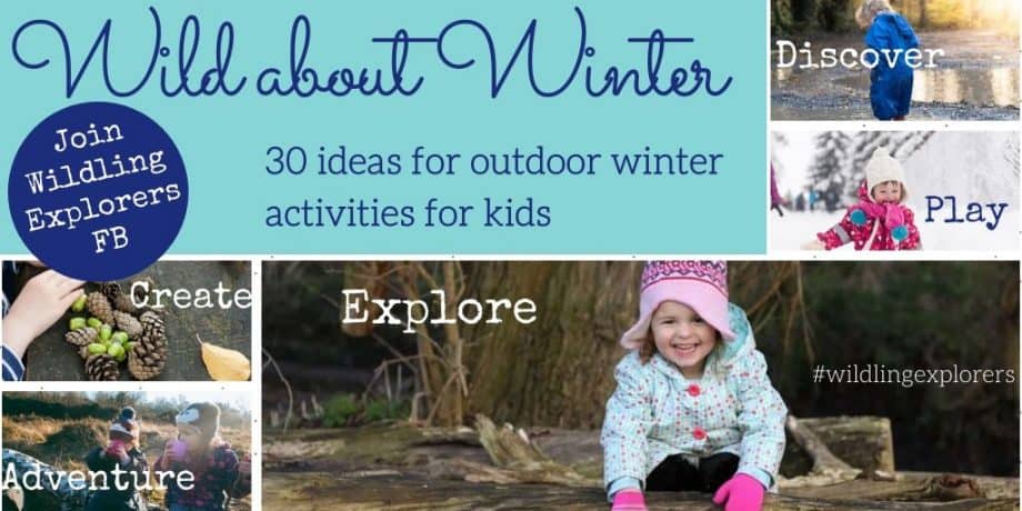 30 Fun and Cheap Outdoor Winter Activities for Kids without snow ...