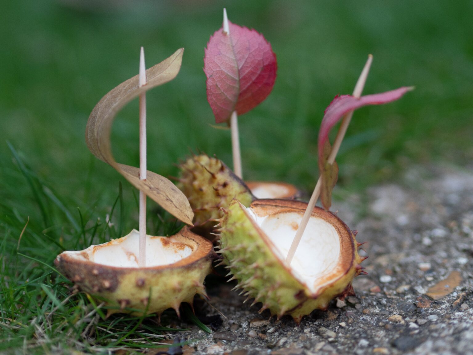 100 Best Nature Crafts and activities for Kids - Thimble and Twig